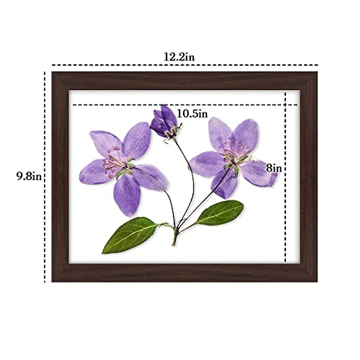 Frametory, 8.5x11 Picture Frame with Glass, Tabletop & Wall Horizontal or Vertical Display, 8 1/2 x 11 Photo Frame for Diploma, Documents (Brown, 1-Pack)