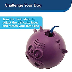 PetSafe Busy Buddy Cow Wow Dog Chew Toy - Treat Dispenser - Small Medium/Large