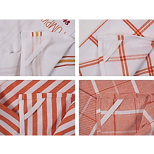 KAF Home Pantry Kitchen Holiday Dish Towel Set of 4, 100-Percent Cotton, 18 x 28-inch (Pumpkin Spice Everything Nice)