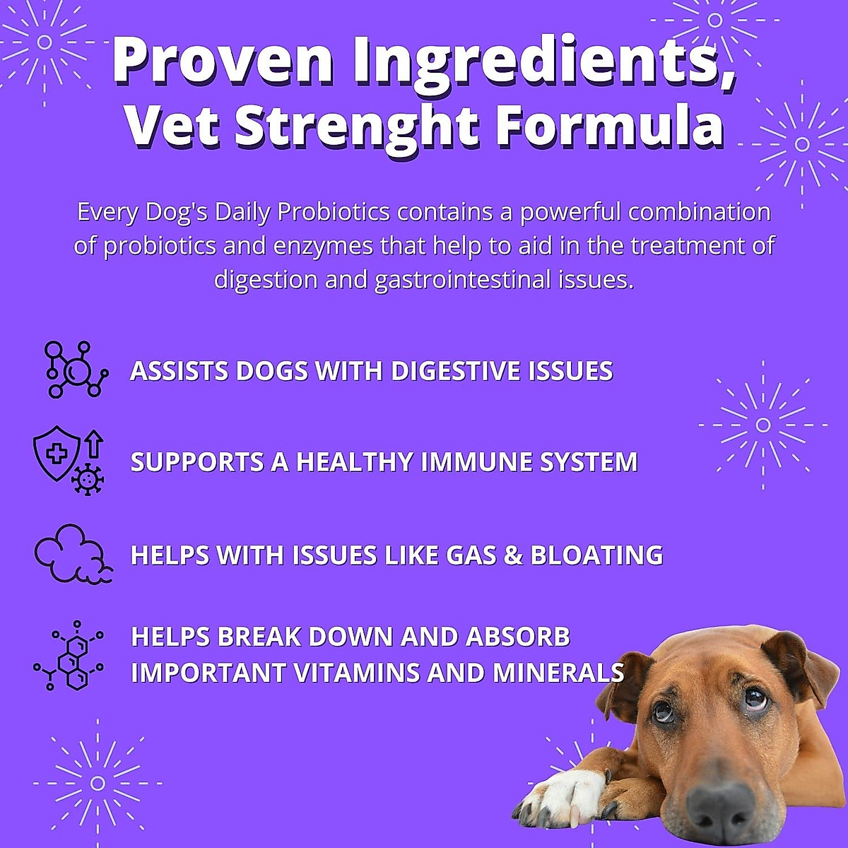Dog Probiotics and Digestive Enzymes - Relief Diarrhea, Dog Gas, Bloating, Constipation, Upset Stomach - Pet Digestive Support - Soft Chews Probiotics for Dogs & Puppies