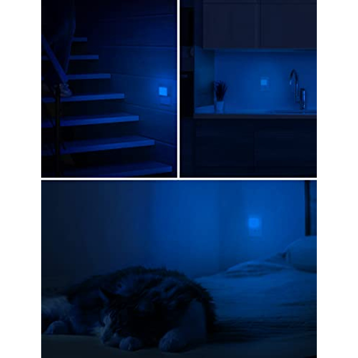 LOHAS Blue LED Night Lights, 4 Pack Dusk to Dawn Sensor Blue Plug into Wall Light for Kids, Blue Plug in Night Light, Auto On/Off Nightlight Ideal for Home Decor, Kid’s Room, Bedroom, Kitchen, Hallway