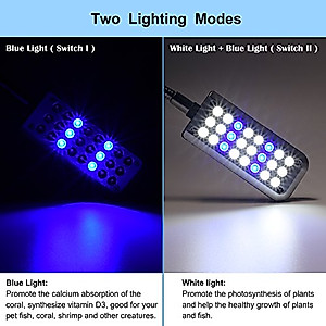 DaToo Aquarium Light Small LED Clip Light for Fish Tank, 1 Yr Warranty