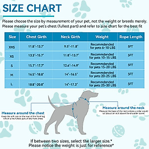 Small Dog Harness and Leash Set, No Pull Adjustable Reflective Breathable Mesh Step in Dog Harness Easy Walk Dog Harness for Extra Small/Small Medium Dog Cats Puppy Outdoor Hiking Training (Pink XXS)