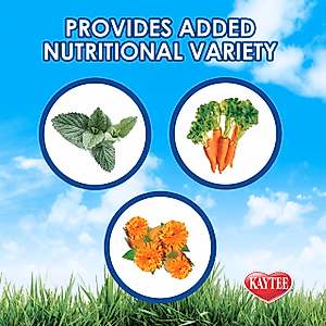 Kaytee Timothy Hay Plus Spearmint/Marigold/Carrot 3 Flavor Variety Pack for Pet Guinea Pigs, Rabbits & Other Small Animals, 60 Ounce (Pack of 1)