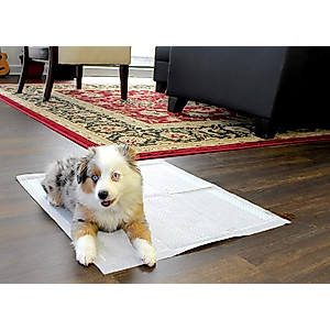 Top Dog White Puppy Pads, 60 Pack Deluxe Dog Training Pad with Extra Quick-Dry Advanced Polymer - Perfect for Puppy Housebreaking and as Potty Pads for Your Mature Pet