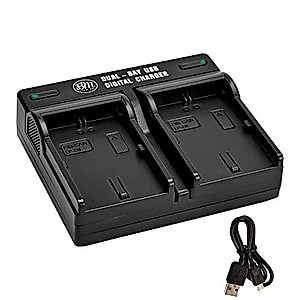 BM LP-E6N Dual Bay Battery Charger for Canon EOS R, EOS R5, EOS R6, EOS R6 II, EOS R7, EOS 90D, EOS 60D, EOS 70D, EOS 80D, EOS 5D IV, EOS 6D, EOS 6D II, EOS 7D, EOS 7D II, C700, XC10, XC15 Cameras