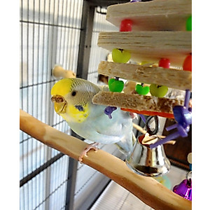 Super Bird Creations SB680 Balsa Stack Bird Toy, Small Bird Size, 6.5" x 2"