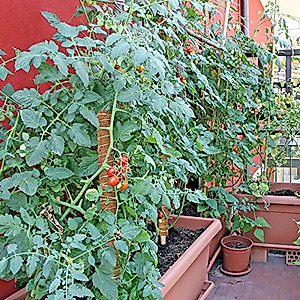 [6 Pack] 94'' Moss Pole, Moss Pole for Plants Monstera, Plant Support Stakes for Indoor Climbing Plants, Monstera Stakes Coco Coir Pole for Potted Plants with 12 Pcs Plant Labels and 100 Pcs Ties