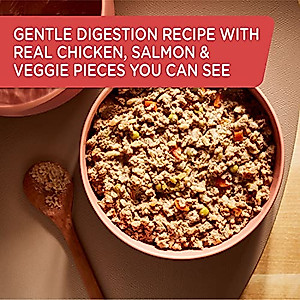 Rachael Ray Nutrish Gentle Digestion Premium Pate Wet Dog Food, Real Chicken, Pumpkin & Salmon, 13 Ounce Can (Pack of 12)