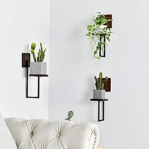 WELLAND Floating Shelf for Wall Rustic Wood Wall Shelves Hanging Planter Flower Pot Holder Sconce/Candle Holder Set of 3
