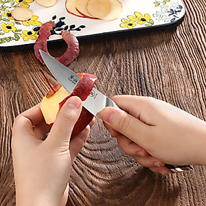 Cangshan HELENA Series German Steel Forged 3.5" Paring Knife (Black)