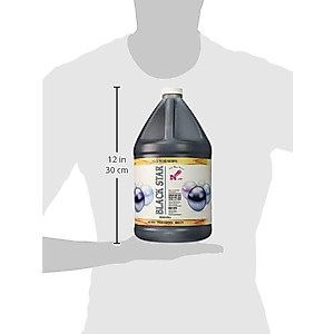 Kelco 50:1 Black Star Shampoo Gallon