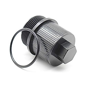 WoodWould Drain Plug Cap Assembly Replaces 190030 Fits for Pool and Spa Filter with O-Ring