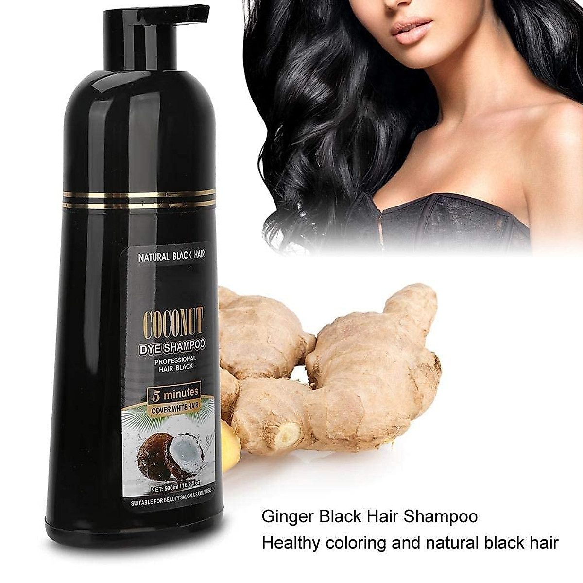 Maani Argan Oil Hair Color Shampoo - Natural Hair Dye, Black, Long Lasting, Ammonia-Free, 500 ML, Instant Fast Acting, Signature Shine, Suitable for Normal, Color Treated Hair