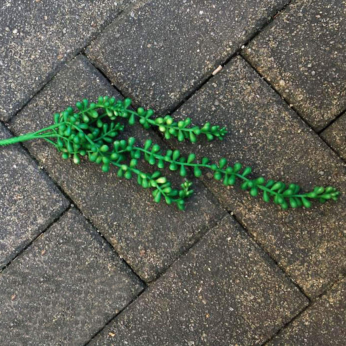 Okngr Artificial Succulents Hanging Plants, Hanging String of Pearls Plant Large Fake String of Pearls for Wall Home Garden Decor- S