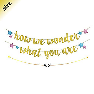 How We Wonder What Your are Glitter Banner Pre-Strung for Twinkle Twinkle Little Star Gender Reveal Party Decorations