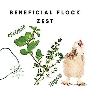 Manna Pro Chicken Scratch | Garden Grains, Treat for Coop, Duck Food, Chicken Supplies |2.25 Pound (Pack of 1)