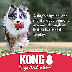 KONG - Aqua - Floating Fetch Toy for Water Play - for Large Dogs