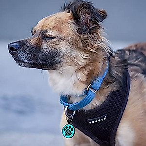 MYLUCKYTAG QR Code Silicone Pet ID Tag Dog Cat Tag, Online Pet Profile, Pet Location Alert Email, Digital Pet Tag, Quiet Dog Tag, Durable Pet ID, Dog Collar Tag, Engraved Pet Tag