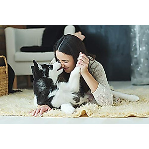 Nutri Chomps Dog Chews- 6-inch Braids,Easy to Digest, Rawhide-Free Dog Treats, Healthy, 4 Count, Real Chicken, Peanut Butter and Milk Flavors, Bundle of 3