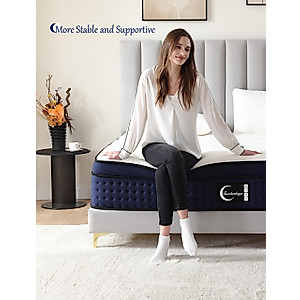 SURLUNKEYS 14 Inch Cal King Mattress - Euro Top Memory Foam Hybrid Mattress with Pocket Spring for Motion Isolating, Medium Firm Mattress in a Box, 120-night Trial