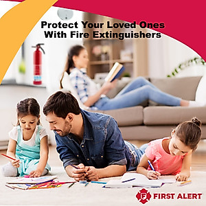 BRK BRANDS, INC First Alert FE1A10GR195 HOME1 Rechargeable Standard Home Fire Extinguisher UL Rated 1-A:10-B:C Pack of 2 Includes Wholesalehome Cleaning Cloth.