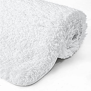 DEXI Bathroom Rug Mat, Extra Soft and Absorbent Bath Rugs, Washable Non-Slip Carpet Mat for Bathroom Floor, Tub, Shower Room (24"x16", White)