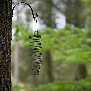 Squirrel Feeder Corn Cob Holder Squirrel Feeder with 35 Inches Extension Chain for Squirrel Bird and Other Backyard Feeding Supplies (1 Pcs)