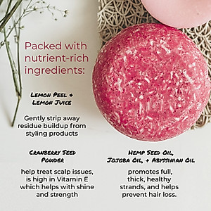 Suds & Co. Solid Shampoo Bar, Zero Waste Shampoo, Natural Shampoo Bar Soap, Sustainable, Eco-Friendly Hair Care - Blossom, 3.0 Ounce