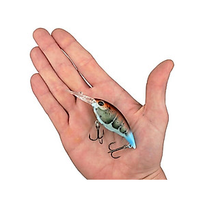 Berkley Money Badger Fishing Lure, Killer Craw, 1/3 oz, 2.5in | 6.25cm, Hybrid Baitfish-Crayfish Design, Patented FlashDisc Technology, Equipped with Sharp Fusion19 Hooks