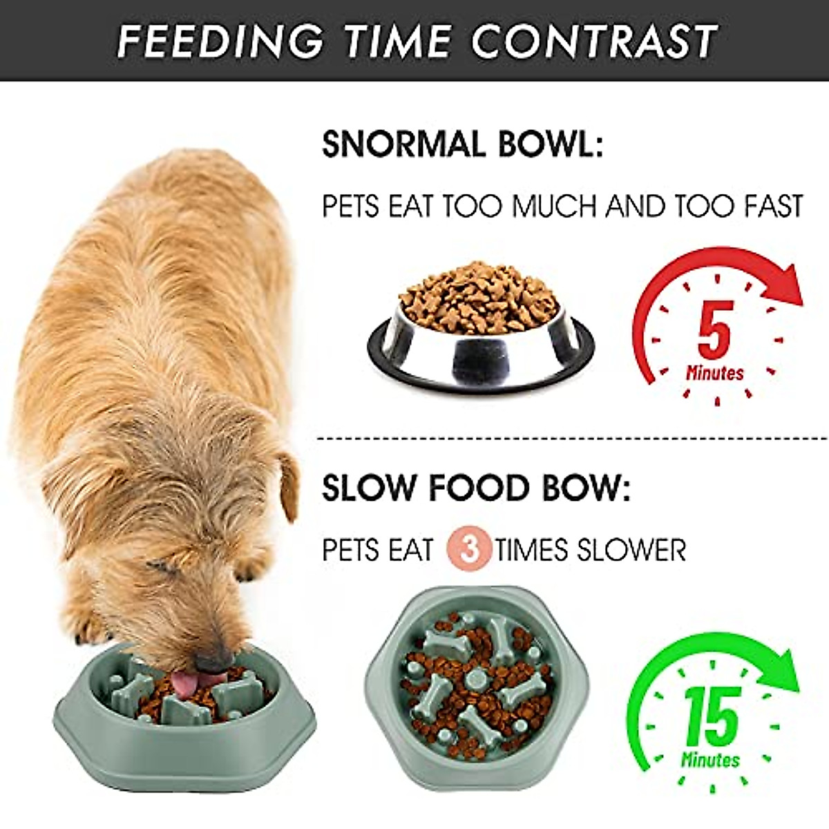 DPOEGTS Slow Feeder Dog Bowl, Puzzle Dog Food Bowl Anti-Gulping Interactive Dog Bowl and Water Dog Bowl for Small/Medium Sized Dogs (Green, Bone)