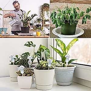 Jiuhexuj Plant Watering Globes -4 Pack Iridescent Rainbow Gradient Color Clear Mushroom Self Watering Spikes-Plant Watering Bulbs Devices for Indoor and Outdoor Plants - Measures 9" L x 2.7" D