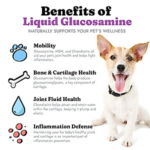 Liquid Glucosamine for Dogs Cats & Horses with Chondroitin, MSM, and Hyaluronic Acid, Hip & Joint Supplement for Mobility & Comfort, Supports Joint Health & Flexibility, Mobility, & Protection, 32 oz