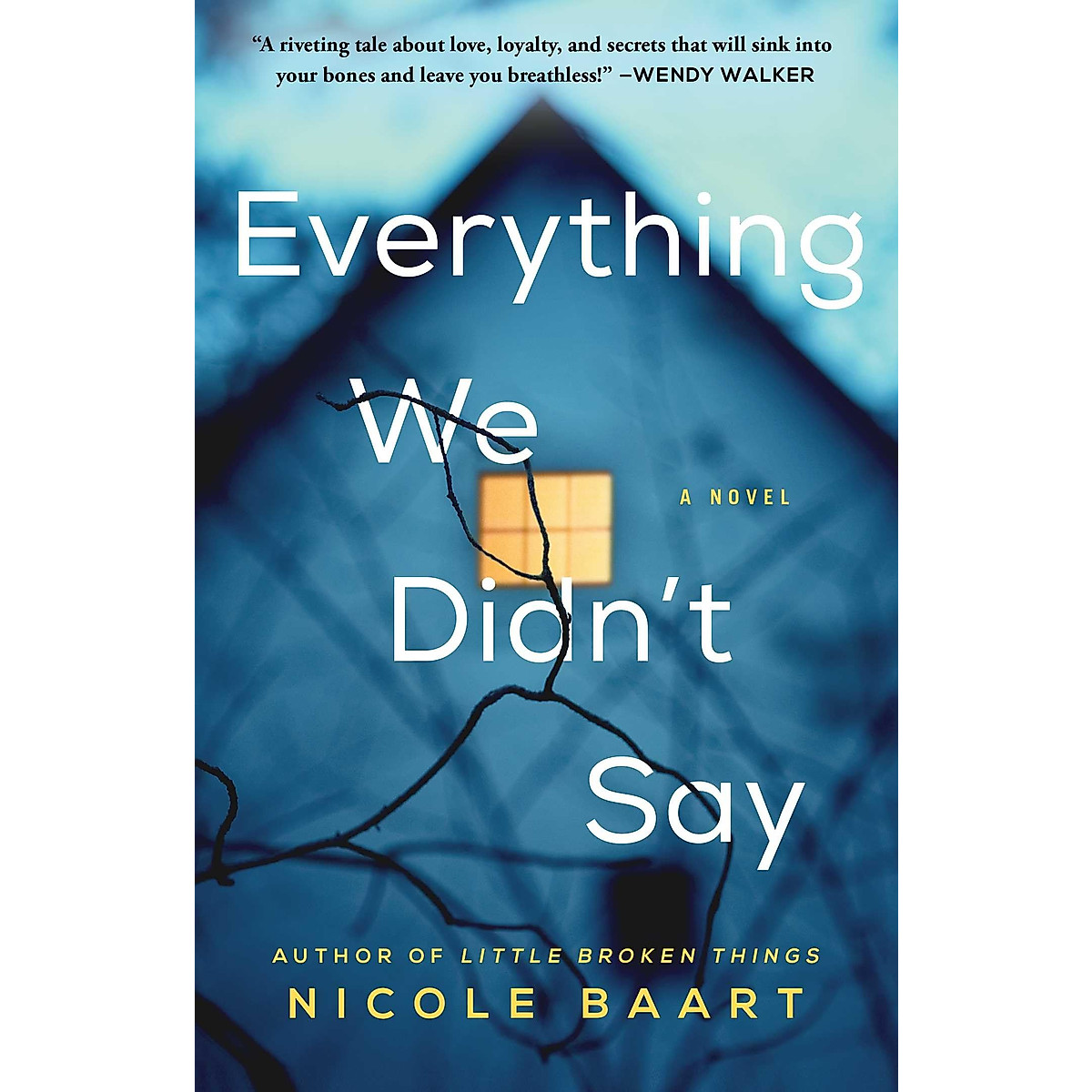 Everything We Didn't Say: A Novel