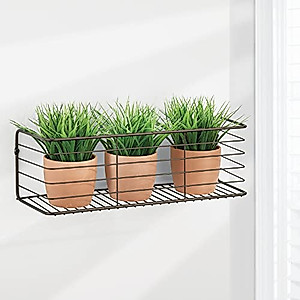mDesign Wide Metal Wall Mount Decor Storage Organizer Display Shelf - Hang in Bathroom, Kitchen, Entryway, Hallway, Mudroom, Bedroom, Laundry Room - Concerto Collection, Bronze