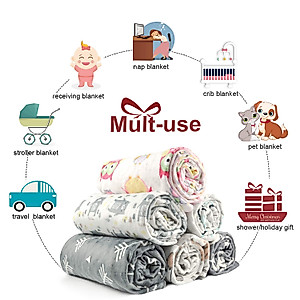 BORITAR Baby Blanket Super Soft Minky with Double Layer Dotted Backing, Little Grey Arrows Floral Leaf Spring Summer Fresh Design