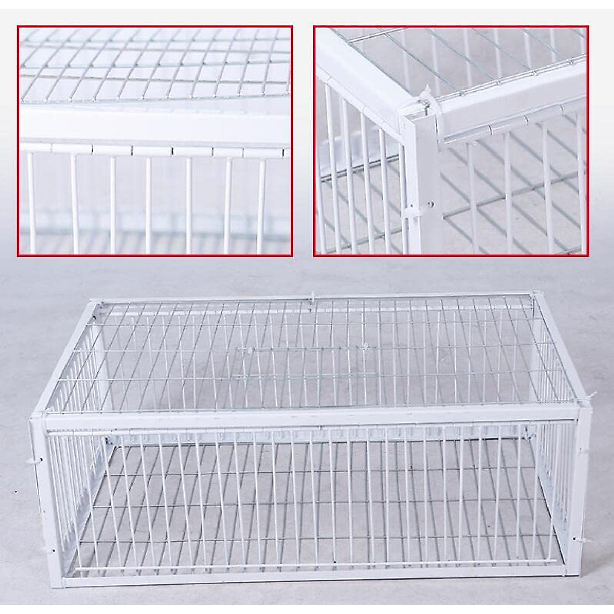 Big Foldable Galvanised Pigeon Dove Bird Trap Cage Feral Pigeon Humane Way with The one-Way Entrance Trapping Pigeons Doves in Cages (40x40x26 4Entrance)