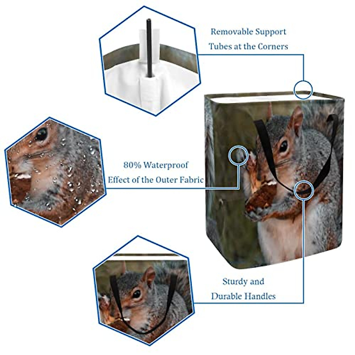 Cute Squirrel Print Collapsible Laundry Hamper, 60L Waterproof Laundry Baskets Washing Bin Clothes Toys Storage for Dorm Bathroom Bedroom