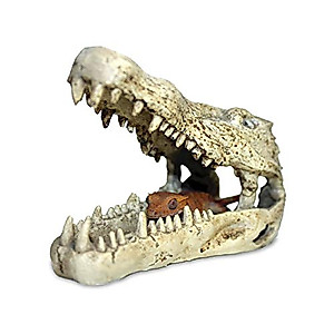 Pangea Reptile Crocodile Skull Terrarium Decoration, Tan