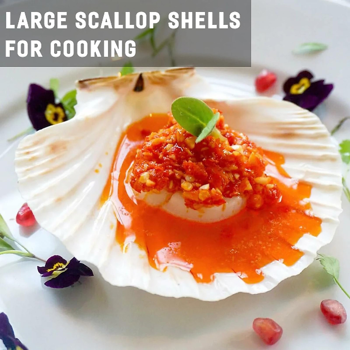 QEQEKAKA 6PCS Scallop Shells 4‘’-4.5" Natural Sea Shells White Hawaiian Scallop Shells for Baking DIY Craft Home Vase Fillers & Beach Wedding Party Decor