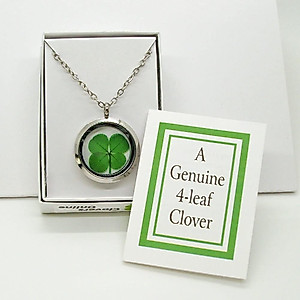 Clovers Online Genuine Preserved Four Leaf Clover Good Luck Charm Stainless Steel Pendant Necklace