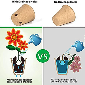 Baxrou 120 Packs 3.15 Inch Peat Pots Plant Starters for Seedling, Biodegradable Herb Seed Starter Pots Kits, Seedling Pots, Garden Germination Nursery Pot wit 30 Plant Labels, 2 Transplant Tools.