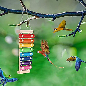 Chicken Xylophone Toy Hanging Chicken Pecking Toys 8 Metal Keys Suspensible Wood Xylophone Toy Suitable for Chicken Coop Hens Parrot Medium and Large Birds