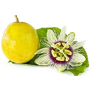 Passion Flower Seeds for Planting - 100+ Seeds - Ships from Iowa, USA - Grow Exotic Passion Fruit Vines. Great for Bonsai