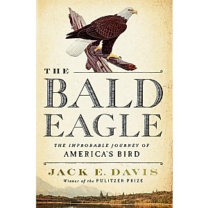 The Bald Eagle: The Improbable Journey of America's Bird