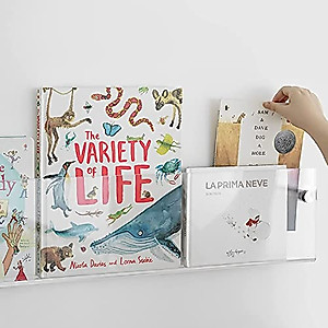 2-Pack Acrylic Magazine Holder Brochure Holder, 17" Record Holder Magazine Rack, Fashion Hanging Bookshelf Literature Storage Rack for Waiting Room, Living Room, Office, Clear 17 Inch