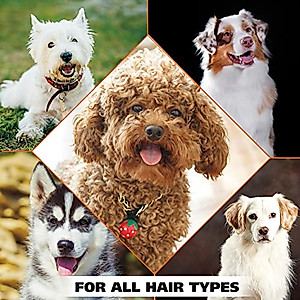 Wahl Odor Control Shampoo for Dogs & Pets - Eucalyptus & Spearmint Animal Deodorizer for Cleaning & Freshening – 24 Oz - Model 820003A