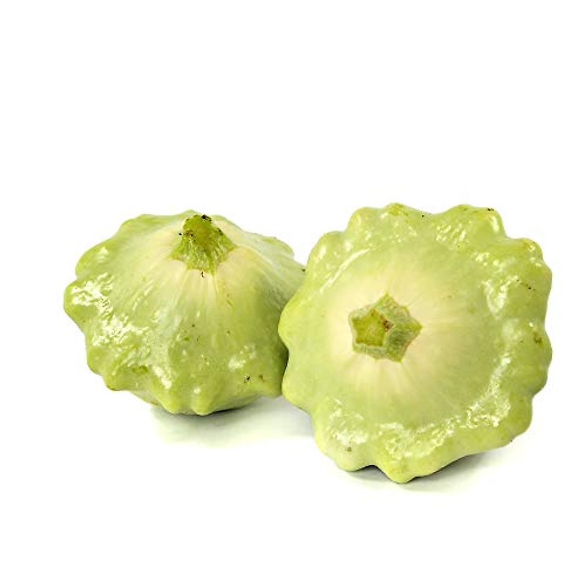 Bennings Green Tint Summer Squash, 30 Heirloom Seeds Per Packet, Patty Pan Squash, Non GMO Seeds, Botanical Name: Cucurbita Pepo, Isla's Garden Seeds