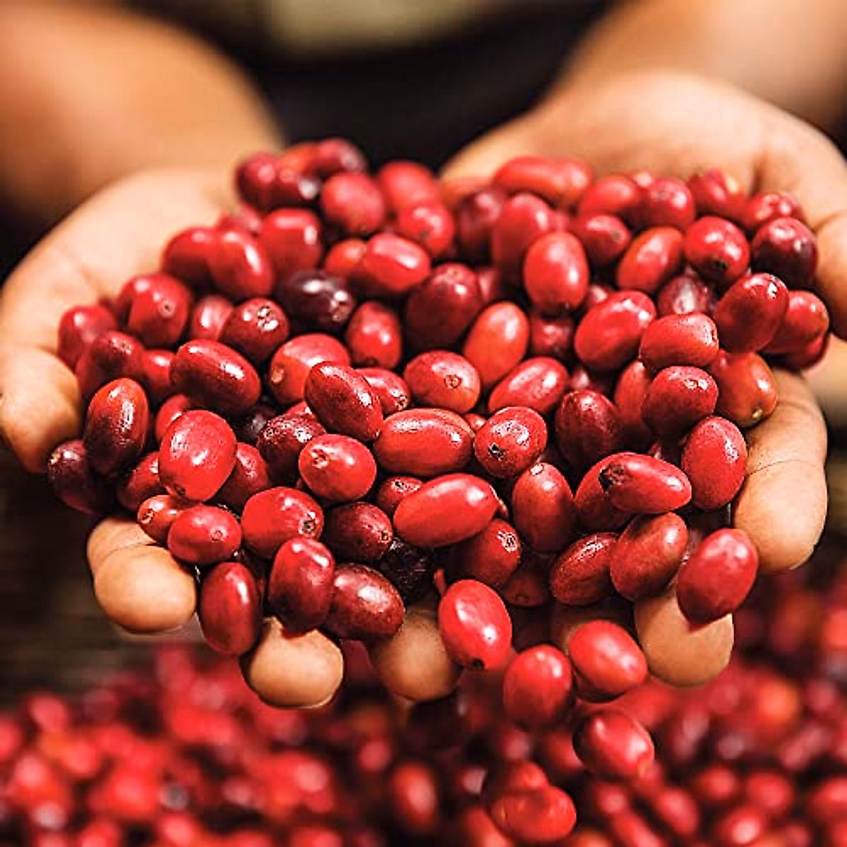 Green Mountain Coffee Roasters, Fair Trade Certified™ Organic, Sumatra Reserve, Whole Bean Coffee, Dark Roast, Bagged 10oz.