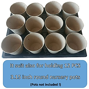 RooTrimmer Grow-Green 10-Pack Microgreen Seed Starter Grow Trays for Seedlings, Shallow Seeding Germination Flats Non Standard 1015 Tray no Holes Plant Sprouter Propogation Tray